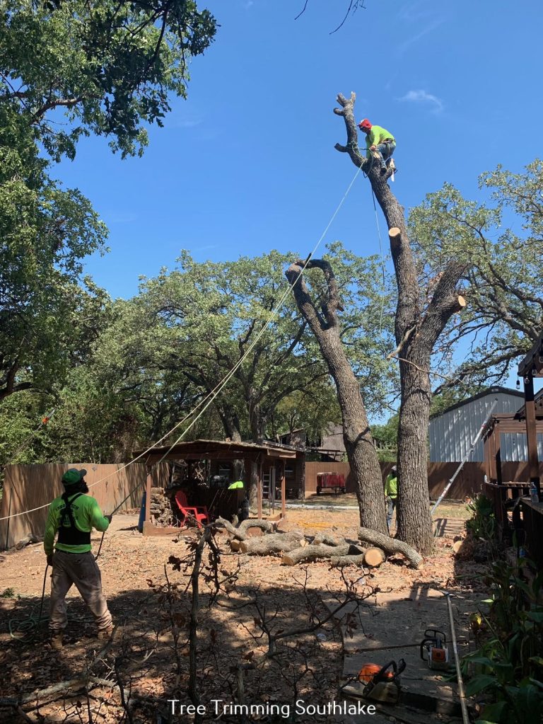 Exploring the Natural Splendor of Bob Jones Nature Center and Preserve in Southlake, TX ...